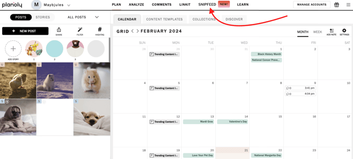 What is Snipfeed and How does it work?